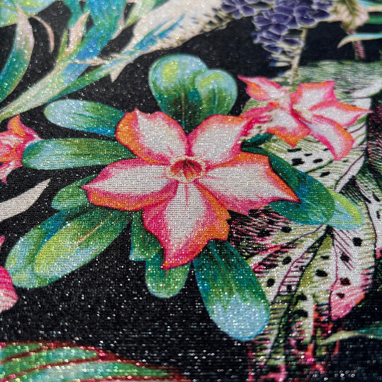 KASHIRI – Del Maar International